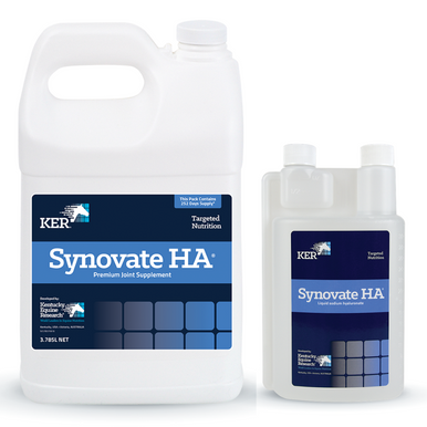 Synovate HA | Scone Equine Group