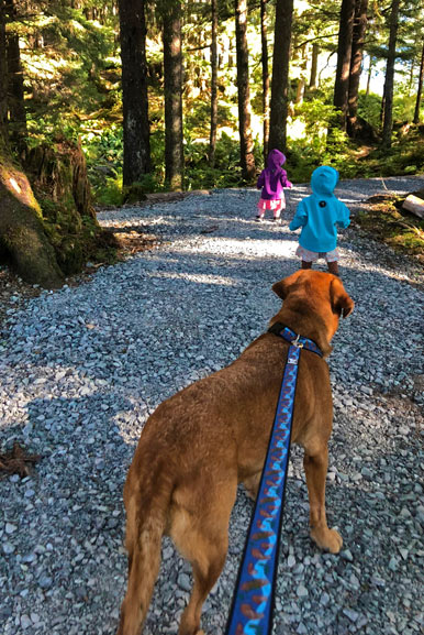 LEASH / Sea Otters Trim (2 color options) - Copper River Fleece