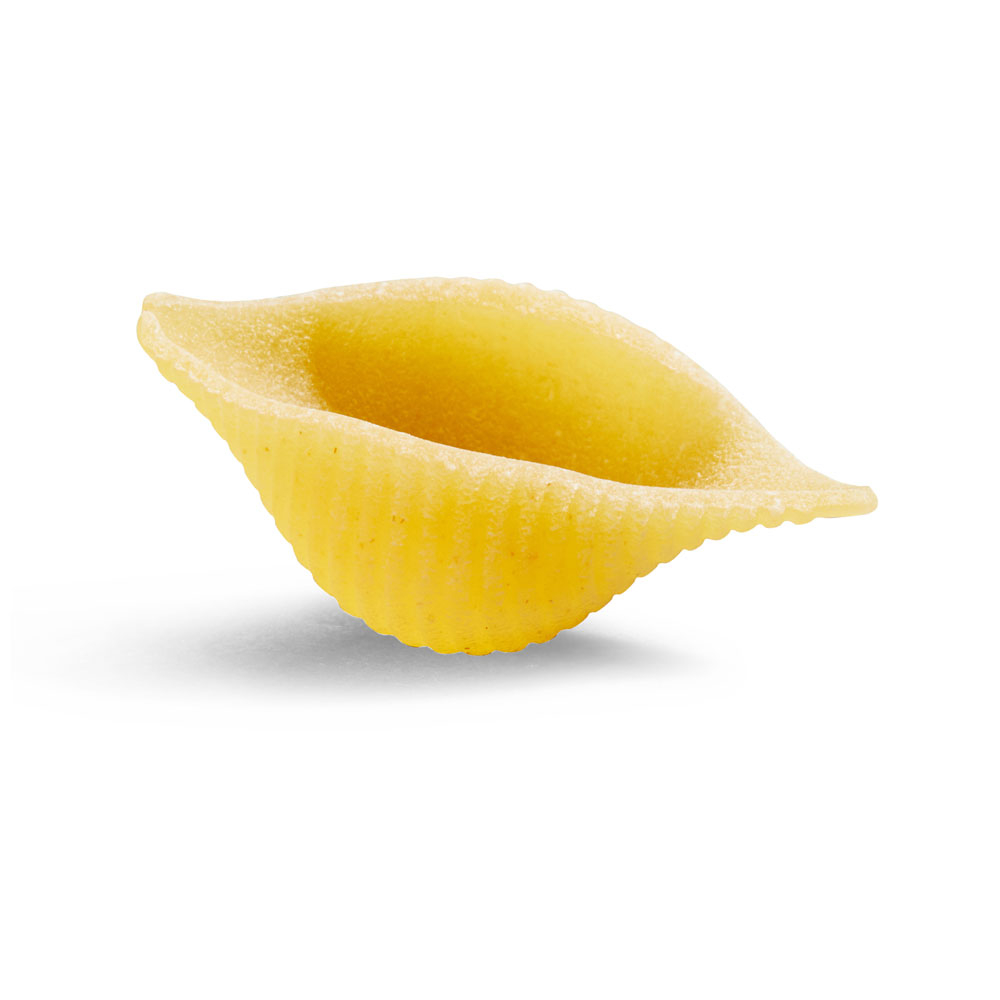 Pasta Shells (Conchiglie) | DeLallo