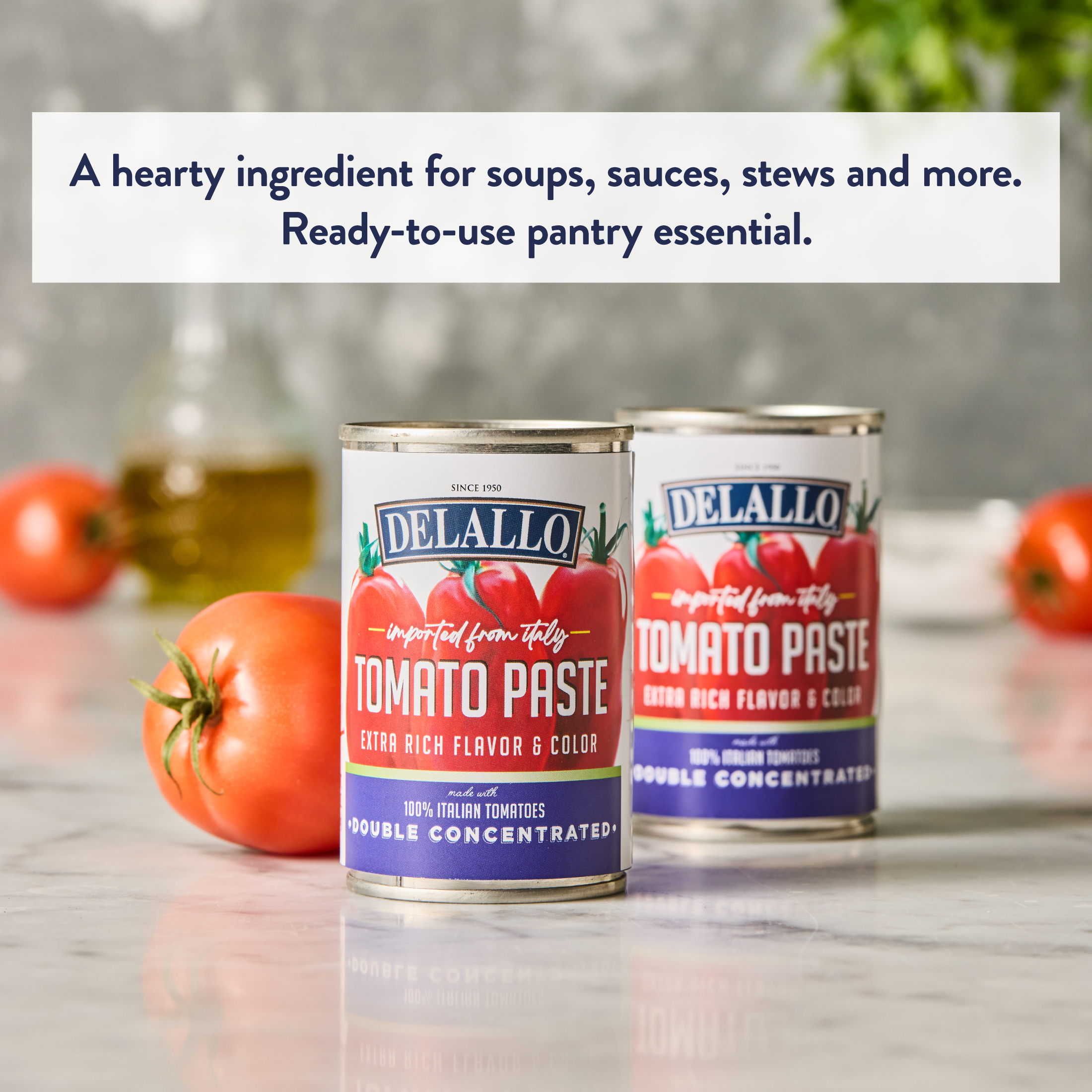 Imported Tomato Paste (Can) | DeLallo