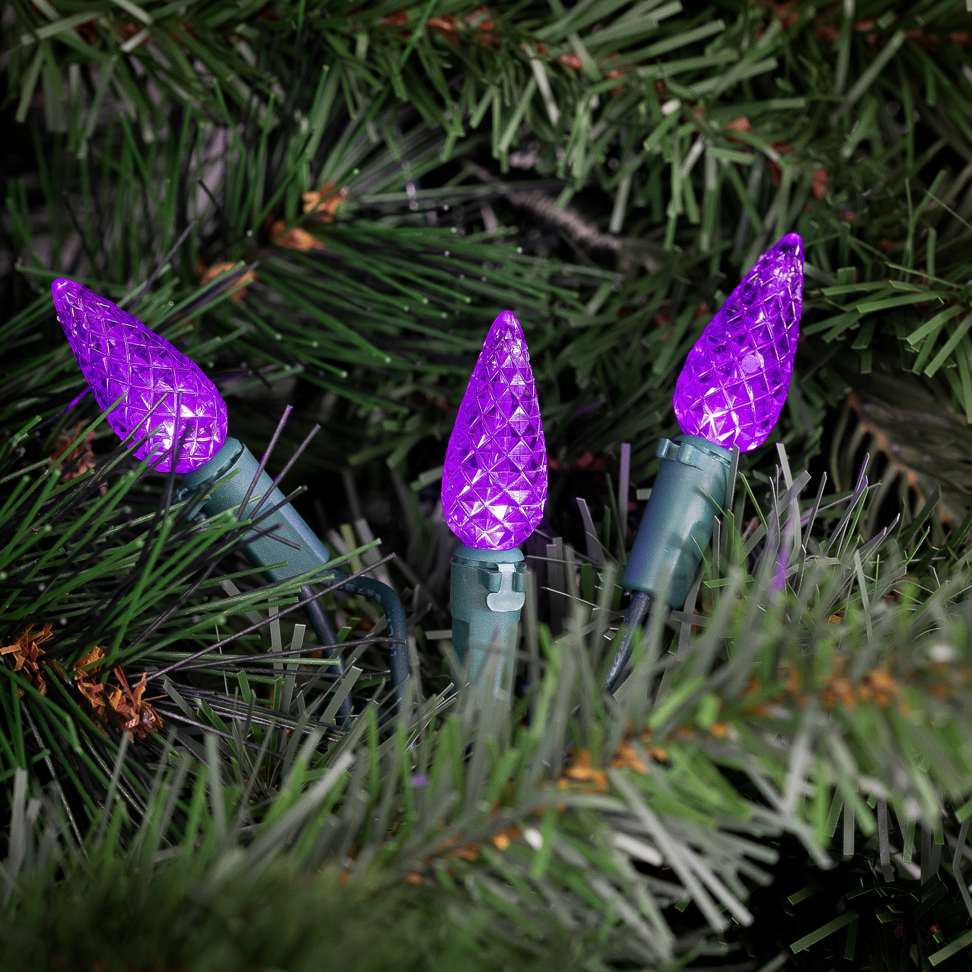 70-Count Purple LED Faceted C6 Christmas Lights Set, 23 ft Green Wire ...