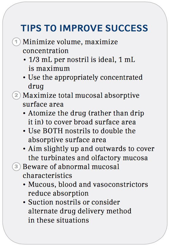 LMA Nasal Mucosal Atomization Device MAD140 | Live Action Safety