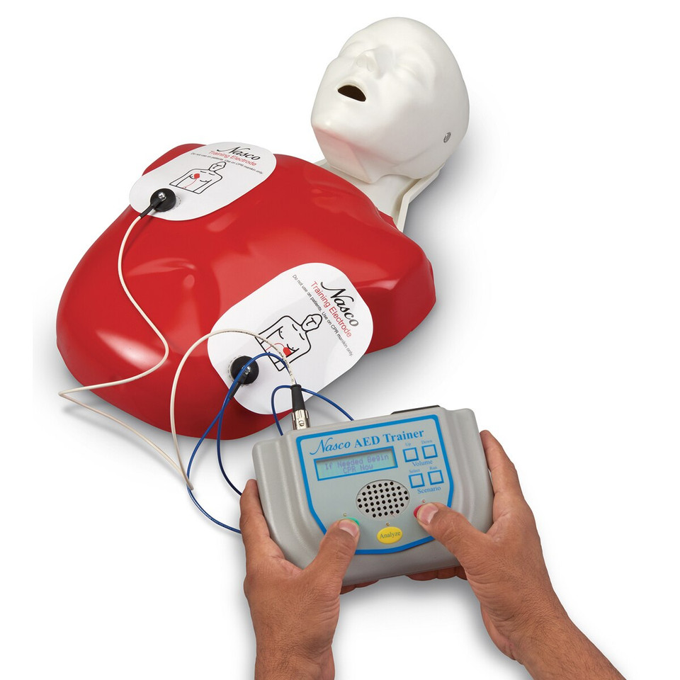Simulaids Econo VTA Adult CPR Manikin | Live Action Safety