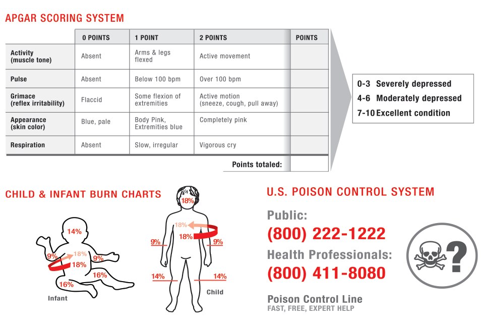 Dose By Growth PALS Pediatric Emergency Tape | Live Action Safety