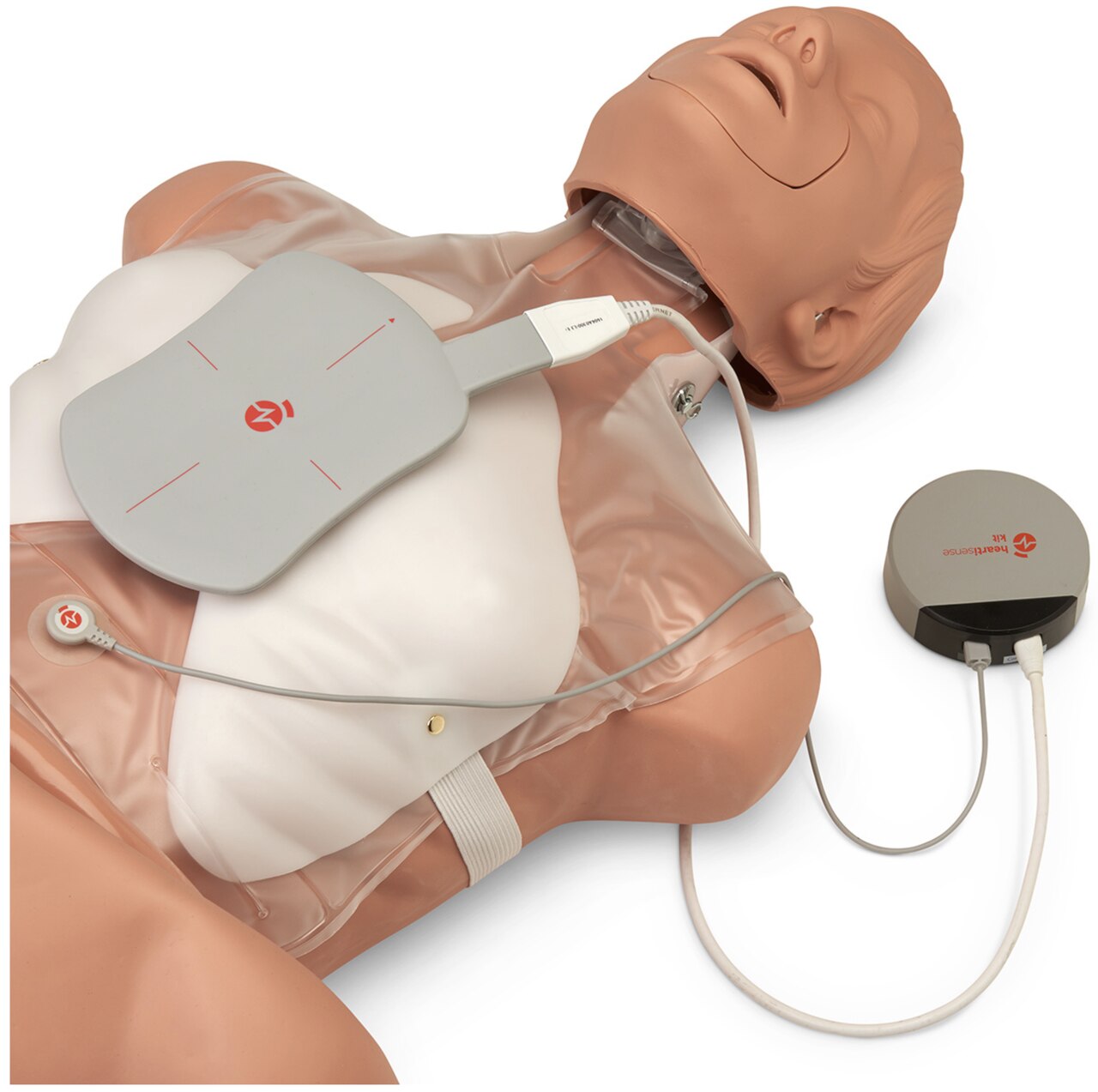 CPR AHA 2019 Guideline Heartisense Premium Kit for Manikins | Live ...