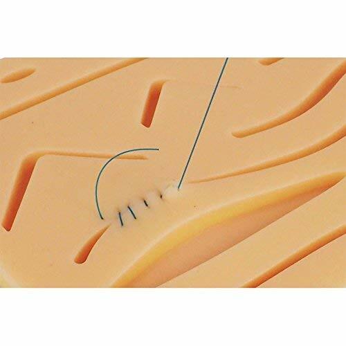 Suture Skin Practice Model Pad | Live Action Safety