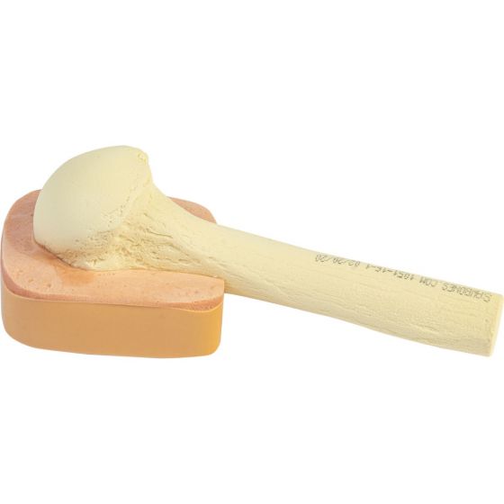 SAM IO Training Kit - Proximal Humerus Bone | Live Action Safety