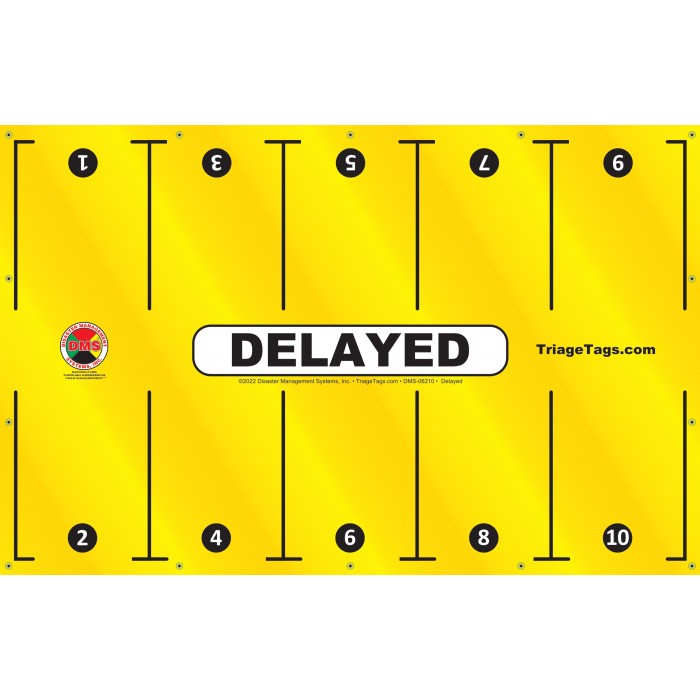 Mini Treatment Area Tarps - 25" x 16" | Live Action Safety