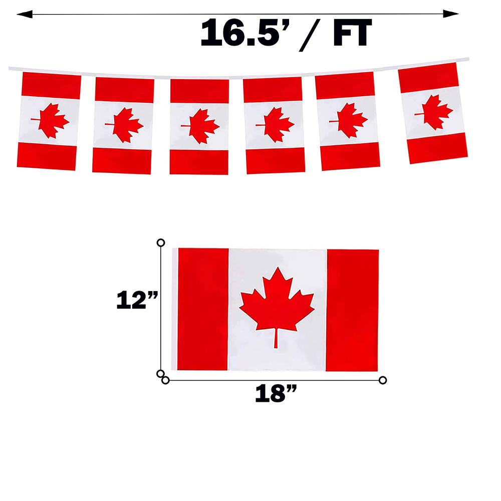 Canada Flag Pennant Banner 16.5 FT | WRB Sales Wholesale Canada