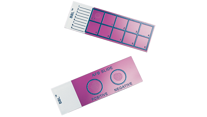 BBL Gram Slide Pk 50 - Trafalgar Scientific