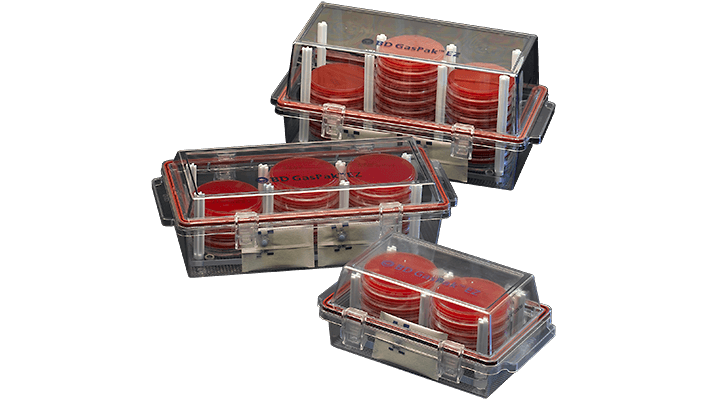 Anaerobic Indicators