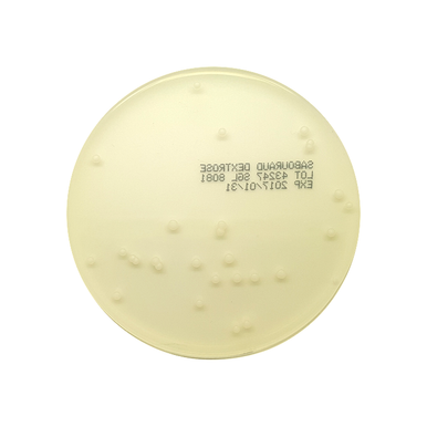 Sabouraud Dextrose Agar (SDA) 90mm PP Plates Pk 10 | Trafalgar Scientific