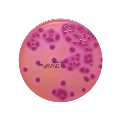 Violet Red Bile Agar (VRBA) 90mm PP Plates Pk 10 - Trafalgar Scientific