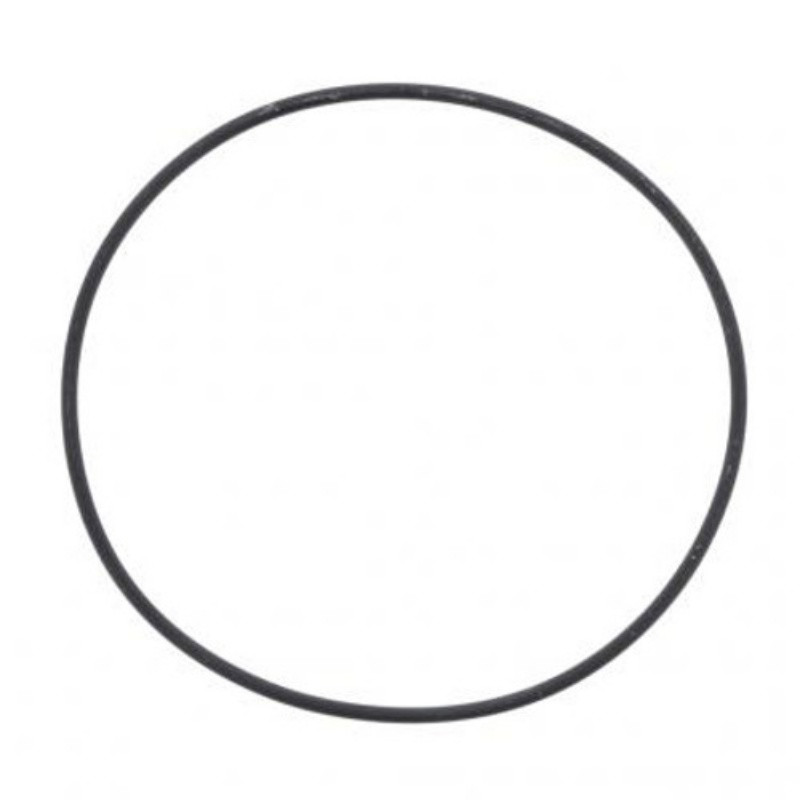 P621252 - Cummins ISX Cam Adapter Plate O-Ring | 4299124