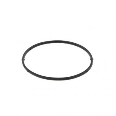 Cummins ISX Camshaft Rear Cover Plate O-Ring | 4985660