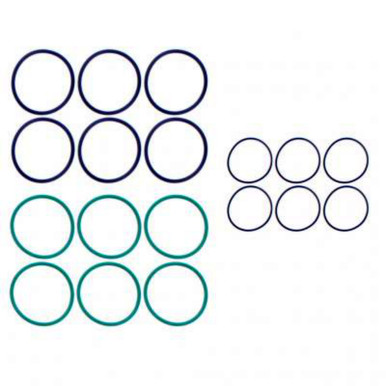 P321318 - CAT 3406E / C15 Injector Sleeve O-Ring Kit