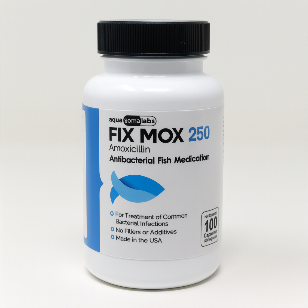 Fish Amoxicillin - Fish Mox 250mg - 100 Capsules | FishTankAntibiotics