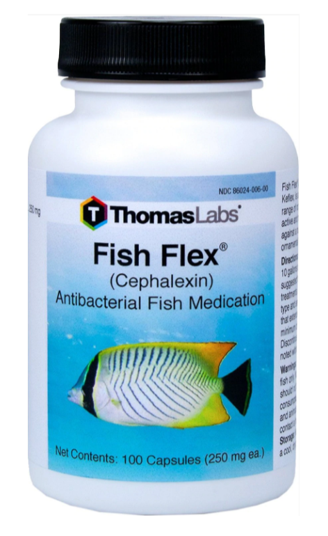 Thomas Labs Fish Flex - Cephalexin 250mg 100 Capsules | FishTankAntibiotics
