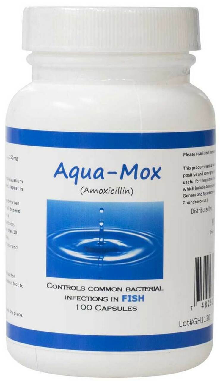 Aqua Mox Amoxicillin 250mg - 100 Capsules | FishTankAntibiotics
