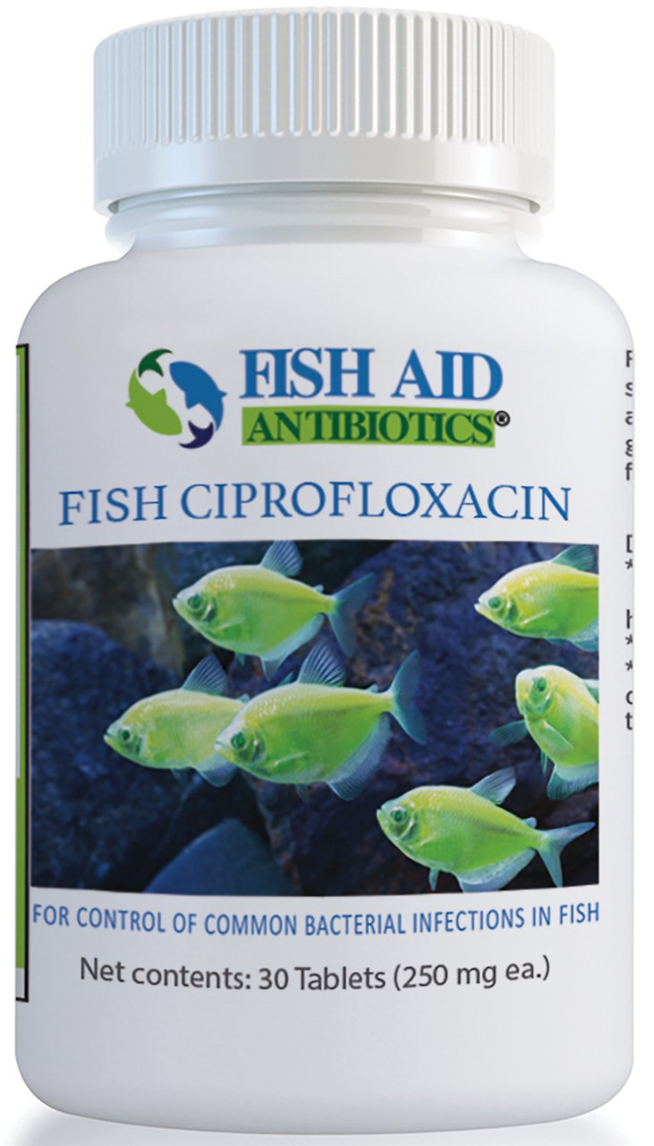 Fish Aid Ciprofloxacin 500mg 30 Capsules | FishTankAntibiotics