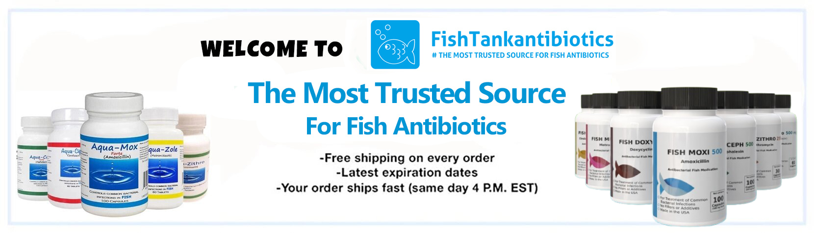 Fish Tank Antibiotics