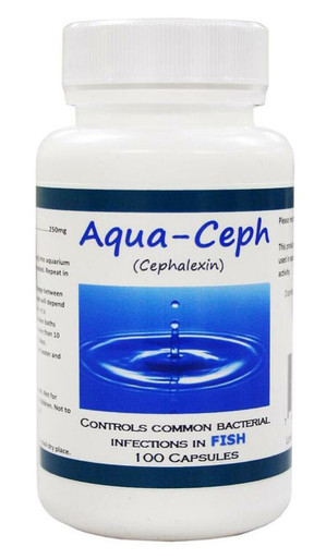Aqua Ceph cephalexin 250mg : Fishtankantibiotics | No Prescription Required
