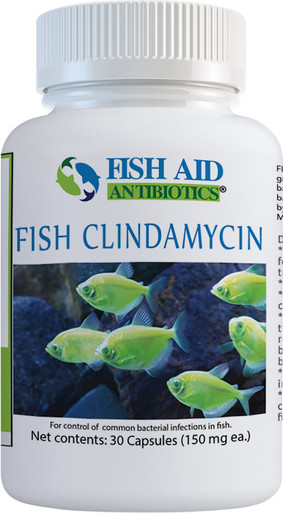 Fish Clindamycin 150 mg : fish aid antibiotics Free Shipping