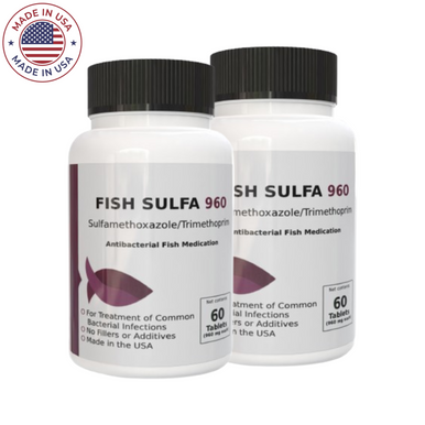 Fish Sulfa Forte 960 – Sulfamethoxazole / Trimethoprim | Aquarium Fish ...