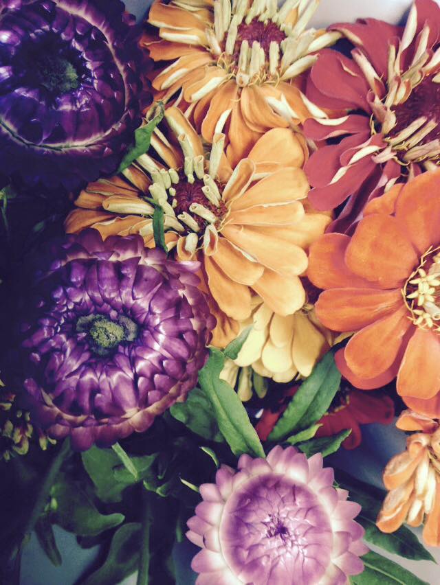 Farm Fresh Flowers from A-Z - Concord Flower Shop