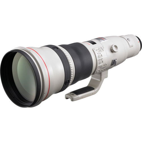 Canon EF 800mm f5.6L IS USM lens