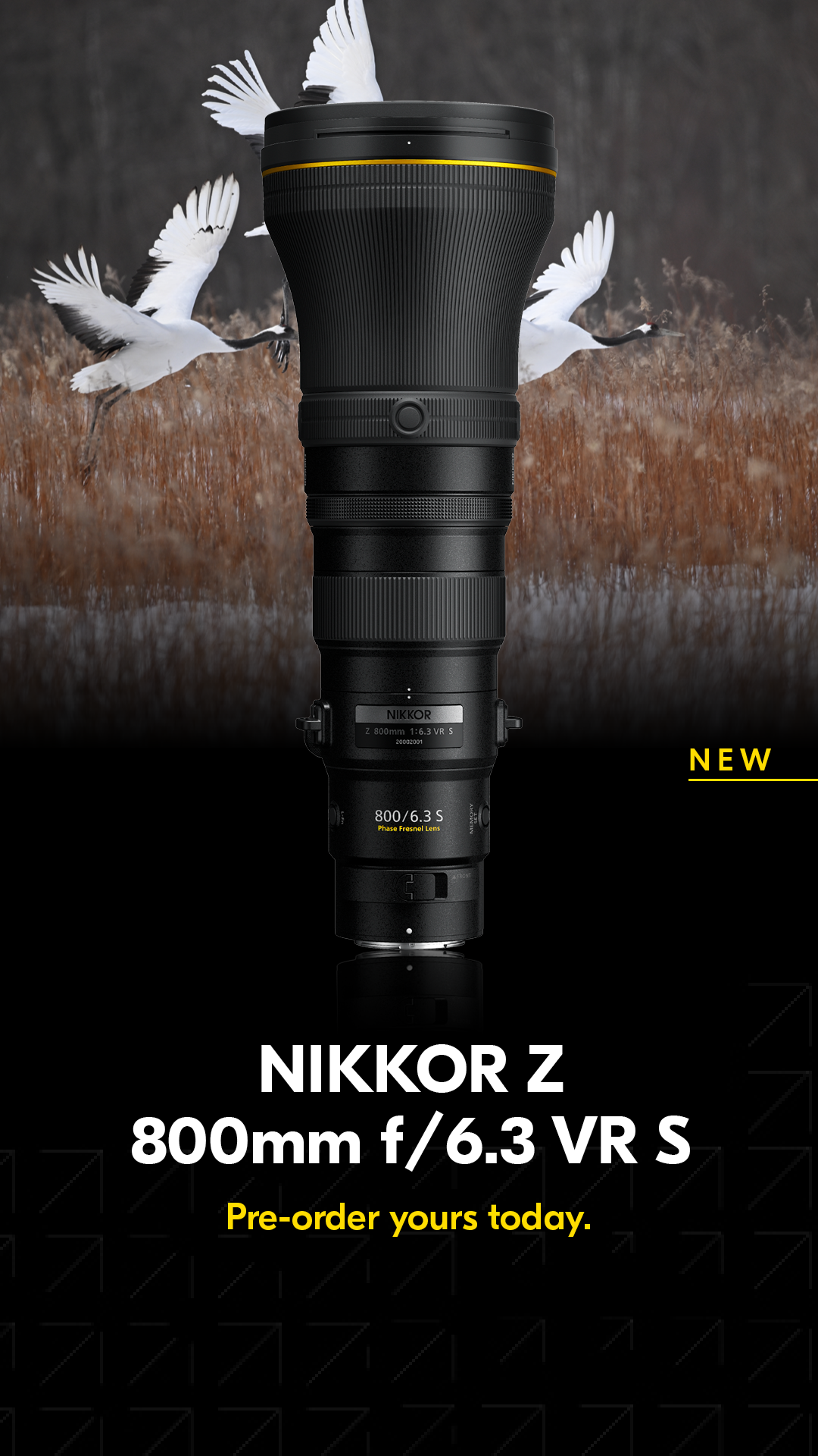 Film Processing | Double Bay Camera Shop - Sydney