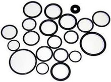 9910-KIT1916 Hypro O-Ring Kit for D30 Diaphragm Pump (Call for Pricing ...