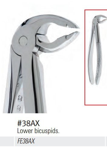 Nordent - Extraction Forceps, English Pattern, Lower Anterior Tapered ...