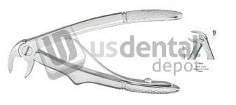 Miltex - C Extraction Forceps - DDS Dental Supplies