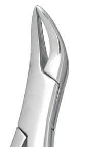 Nordent - Extraction Forceps #151a Lower Universal, Parallel Beaks ...
