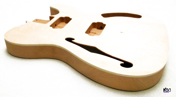 DIY Guitar Kit Thinline TL Tele Style Build Your Own Guitar