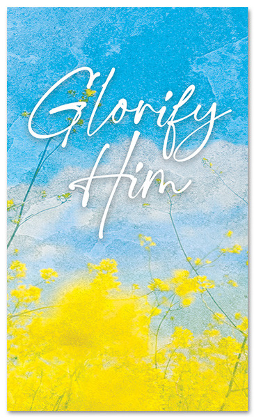 BC166 Glorify - His Amazing Grace banner - Churchbanners
