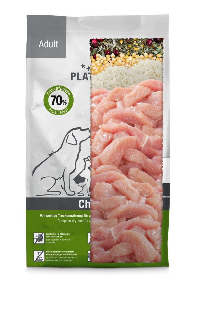 Adult Chicken - The PetFellas