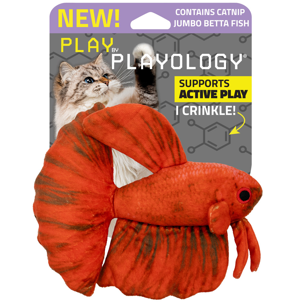 Jumbo betta fish with catnip - The PetFellas