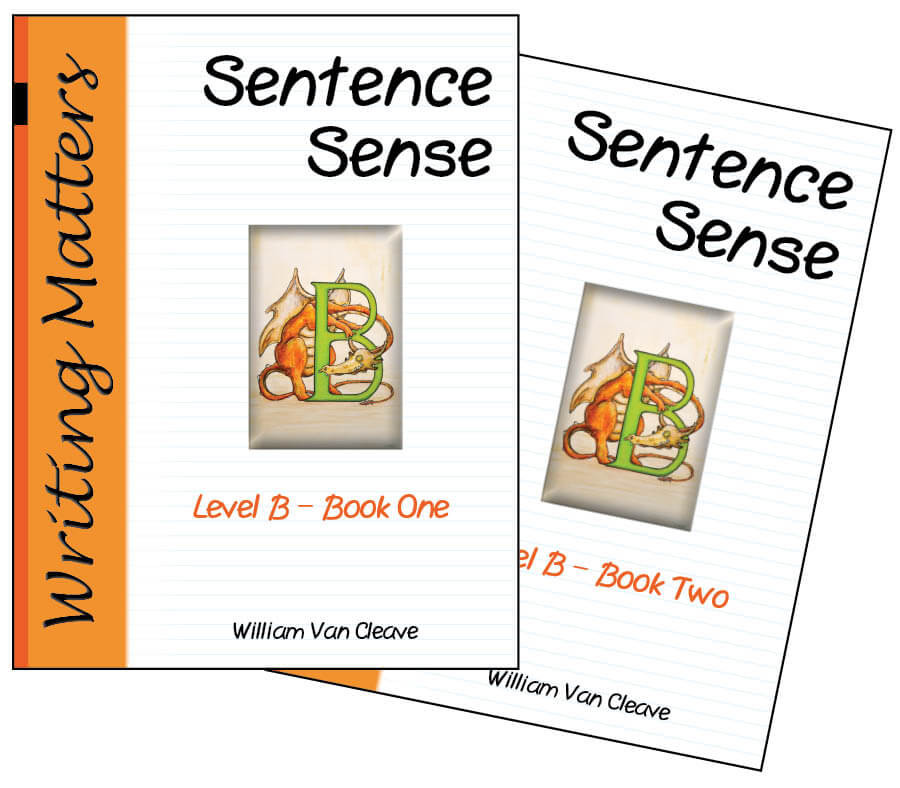 Sentence Sense Work Book, Level B, Book One & Book Two - Brainspring Store