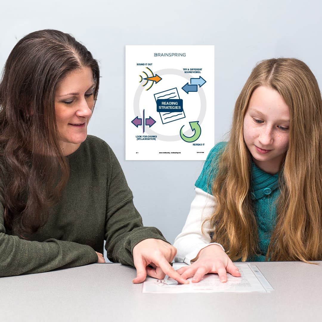 Practice Makes Perfect: Reading Strategies - Brainspring Store