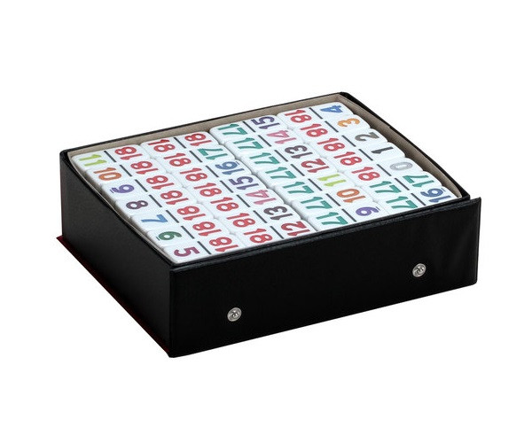 Dominoes Double 18 Professional Size Color Number in Vinyl Case - Zandatoys