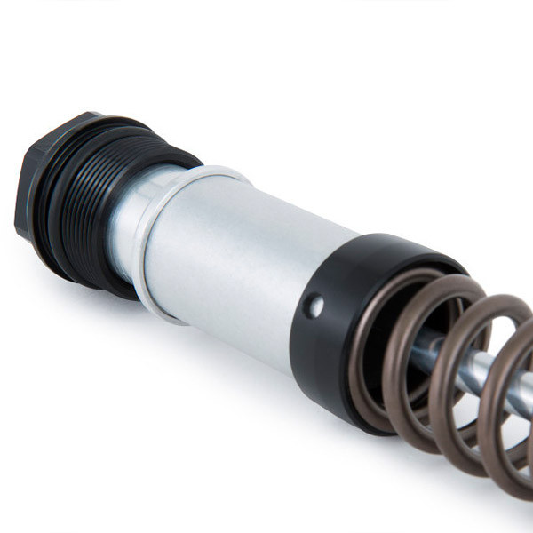 Ohlins Suzuki SV650 2016-2023 NIX 22mm Fork Cartridge Kit w/Springs