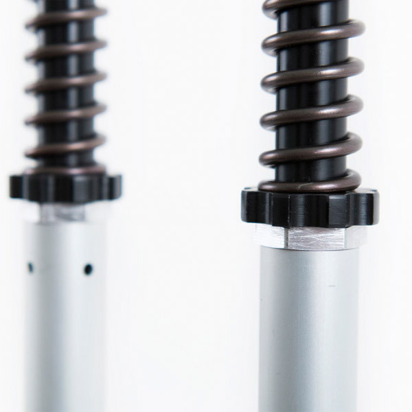 Ohlins Yamaha FZ-07 / MT-07 2015-2022 NIX 22mm Fork Cartridge Kit w/Springs