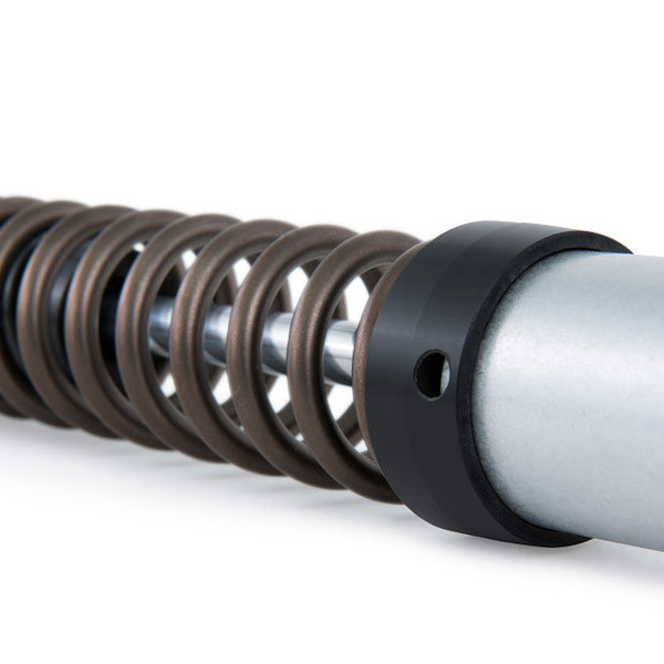 Ohlins Suzuki SV650 2016-2022 NIX 22mm Fork Cartridge Kit w/Springs