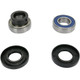 All Balls 1999-2000 Ski-Doo Formula 580 Deluxe LC Chain Case Bearing ...