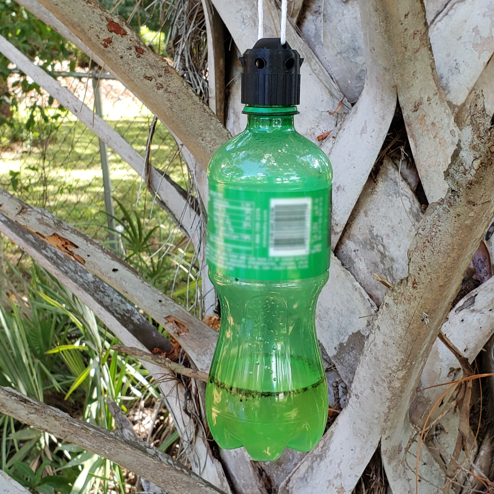 Eco-Friendly Mosquito and Bug Trap Kit - 4 Pack - Delta 3D Studios, LLC