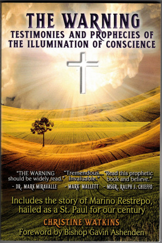 The Warning: Testimonies and Prophecies of the Illumination of ...