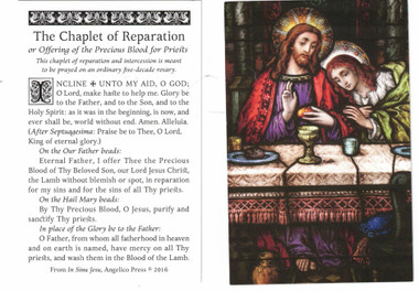 Chaplet of Reparation for Priests, pray for conversion of abusive priests