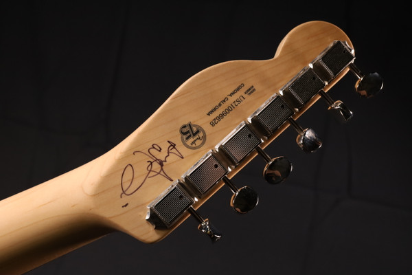 Fender Custom Shop World Stamp Collection Telecaster Electric Guitar ...